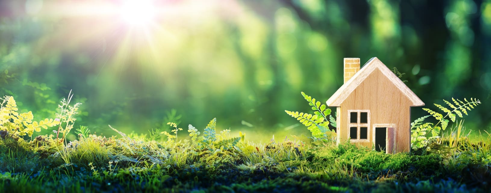 The 2024 Ultimate Home Comfort Trends Guide